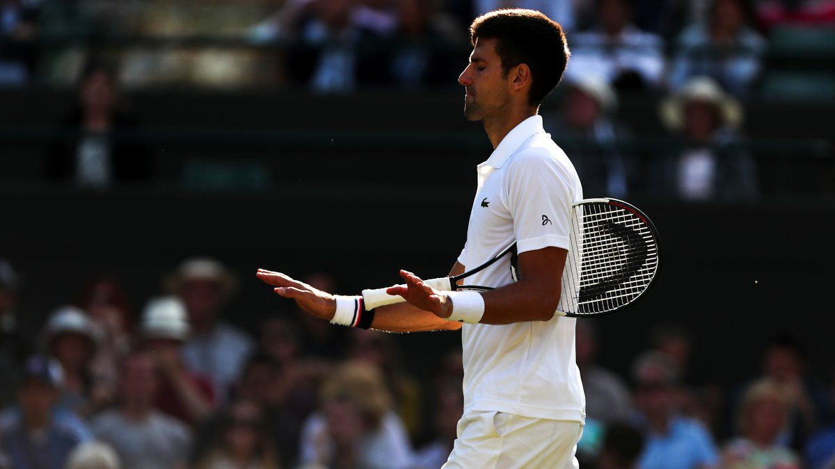 Tennis : Les vérités de Stepanek sur sa collaboration avec Djokovic ...