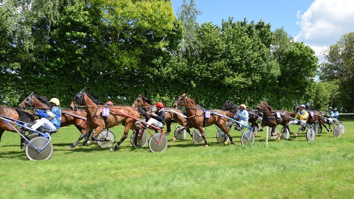 Nouvelle saison de Trot avec le Prix d'Amérique Races - Le10sport.com
