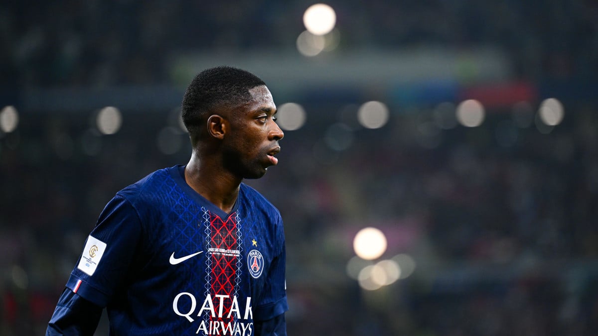 Xxx hamster bokep jepang