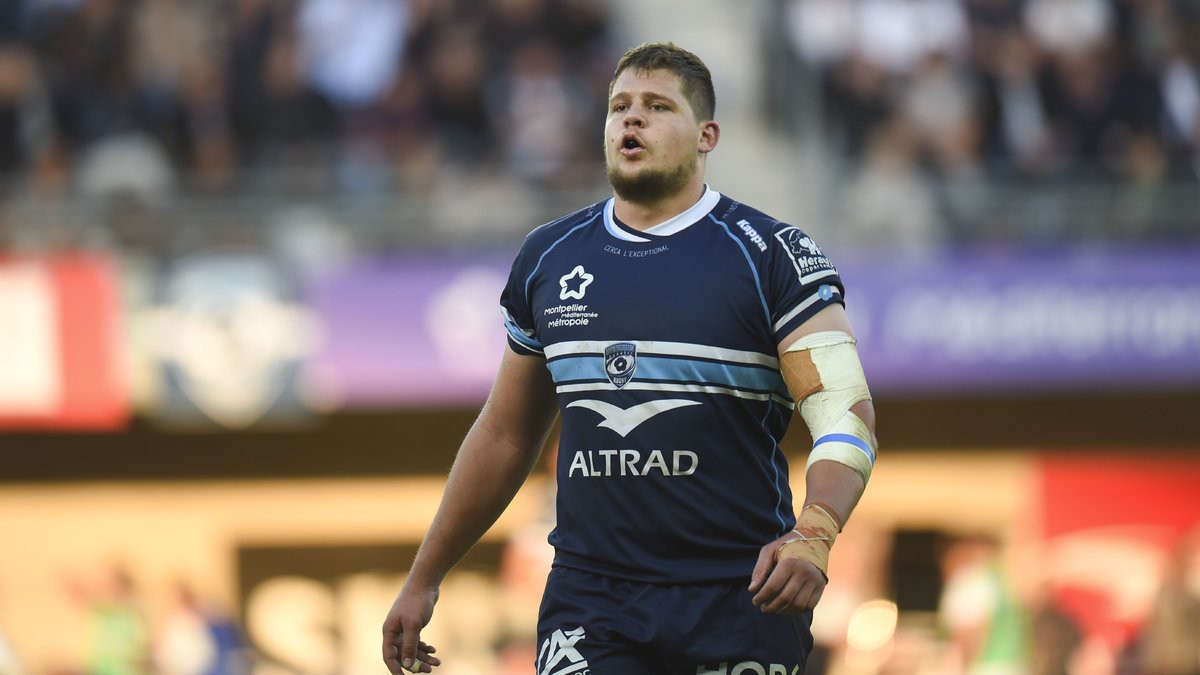 Rugby - Top 14 : Paul Willemse annonce une grande nouvelle ...
