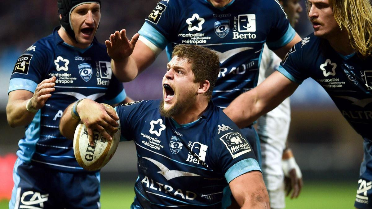 Rugby : Montpellier, XV de France… La joie de Paul Willemse ...